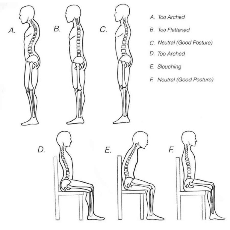 What is Neutral Spine? - FitForever